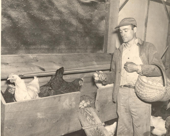 BUILT ENVIRONMENT Poultry Houses - PINE MOUNTAIN SETTLEMENT SCHOOL ...