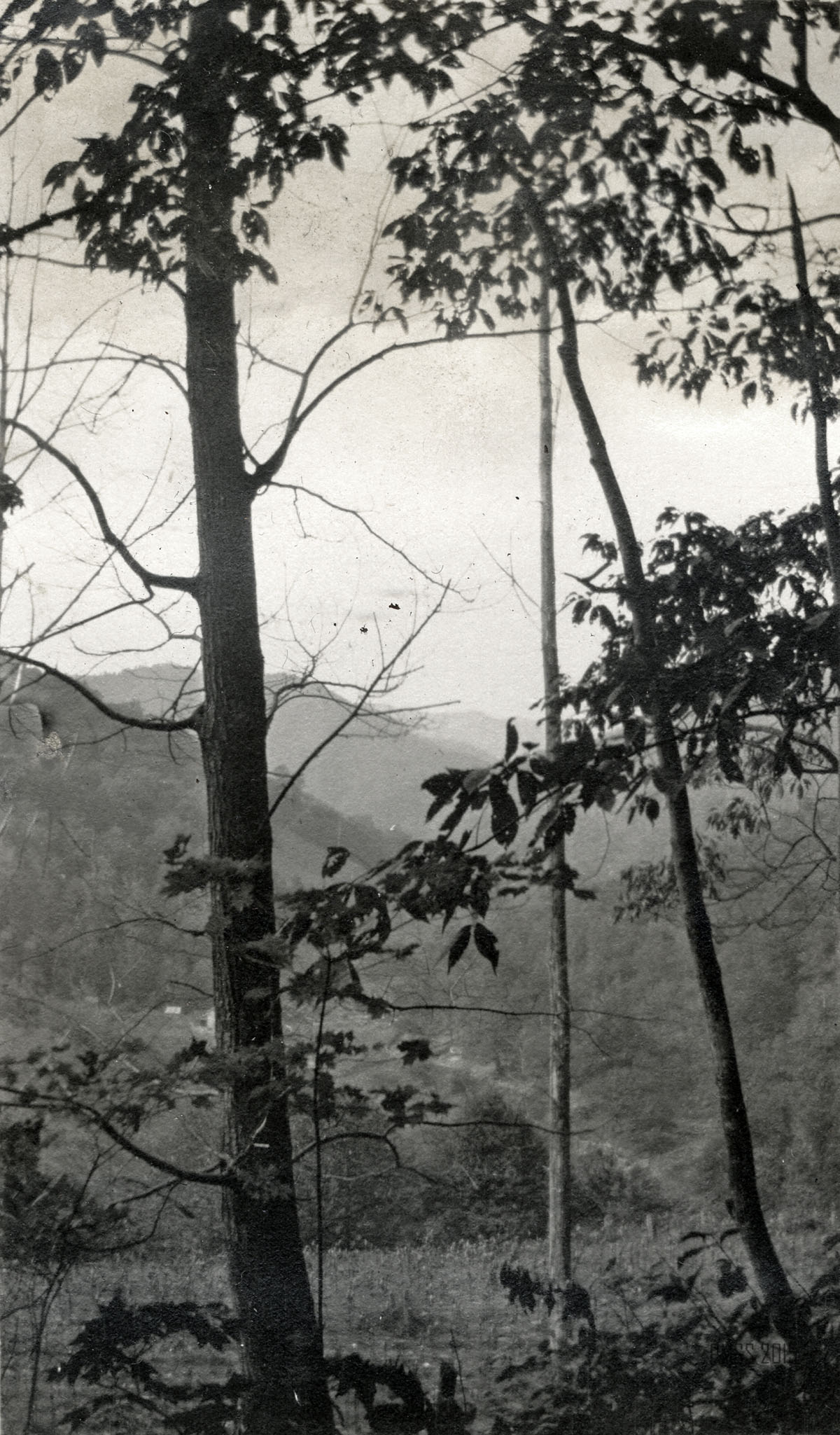 HENRY MIXTER PENNIMAN Visitor - Pine Mountain Settlement School