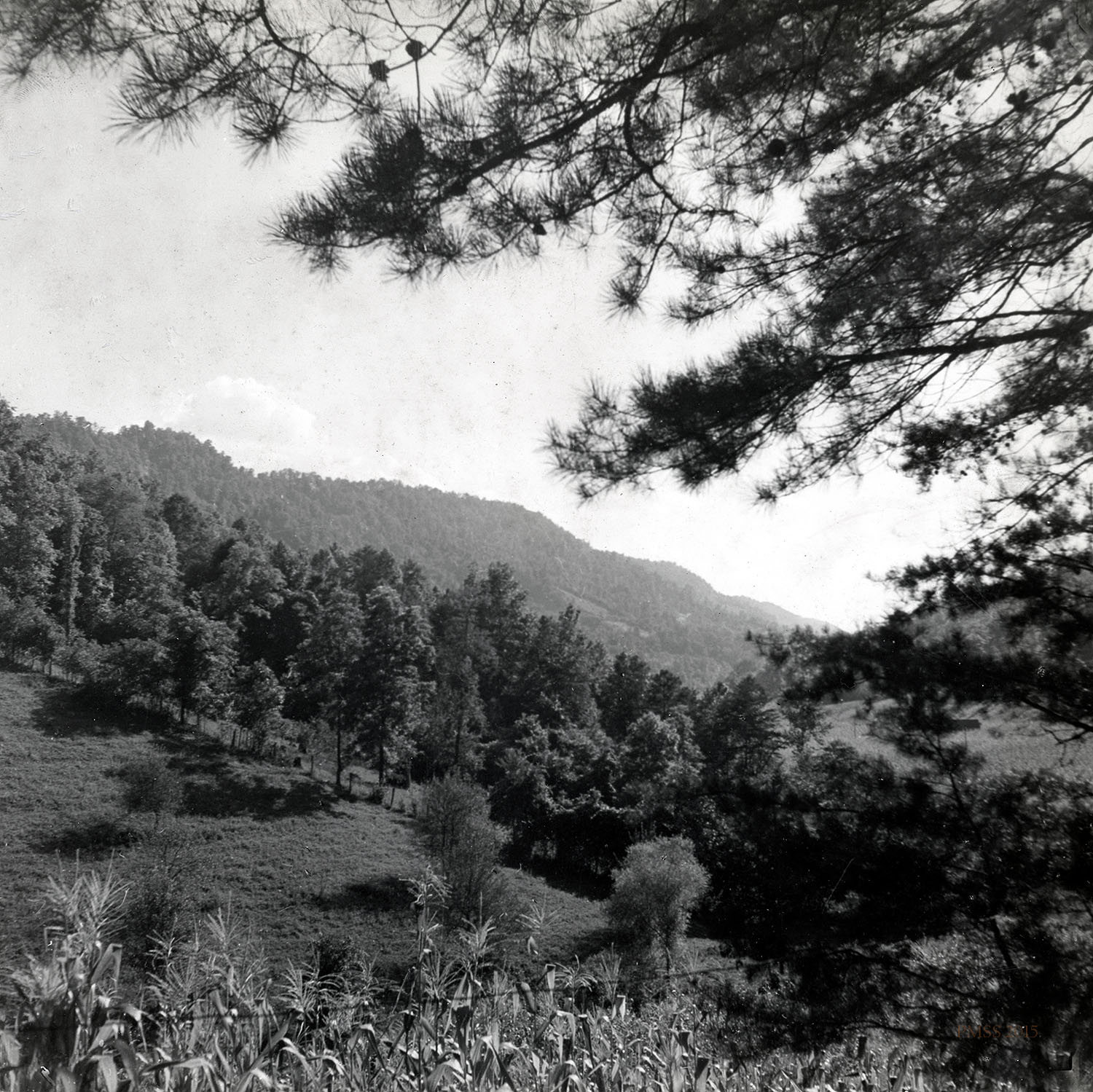 XIII ARTHUR W. DODD PHOTOGRAPH ALBUM 1943-1946 - PINE MOUNTAIN ...
