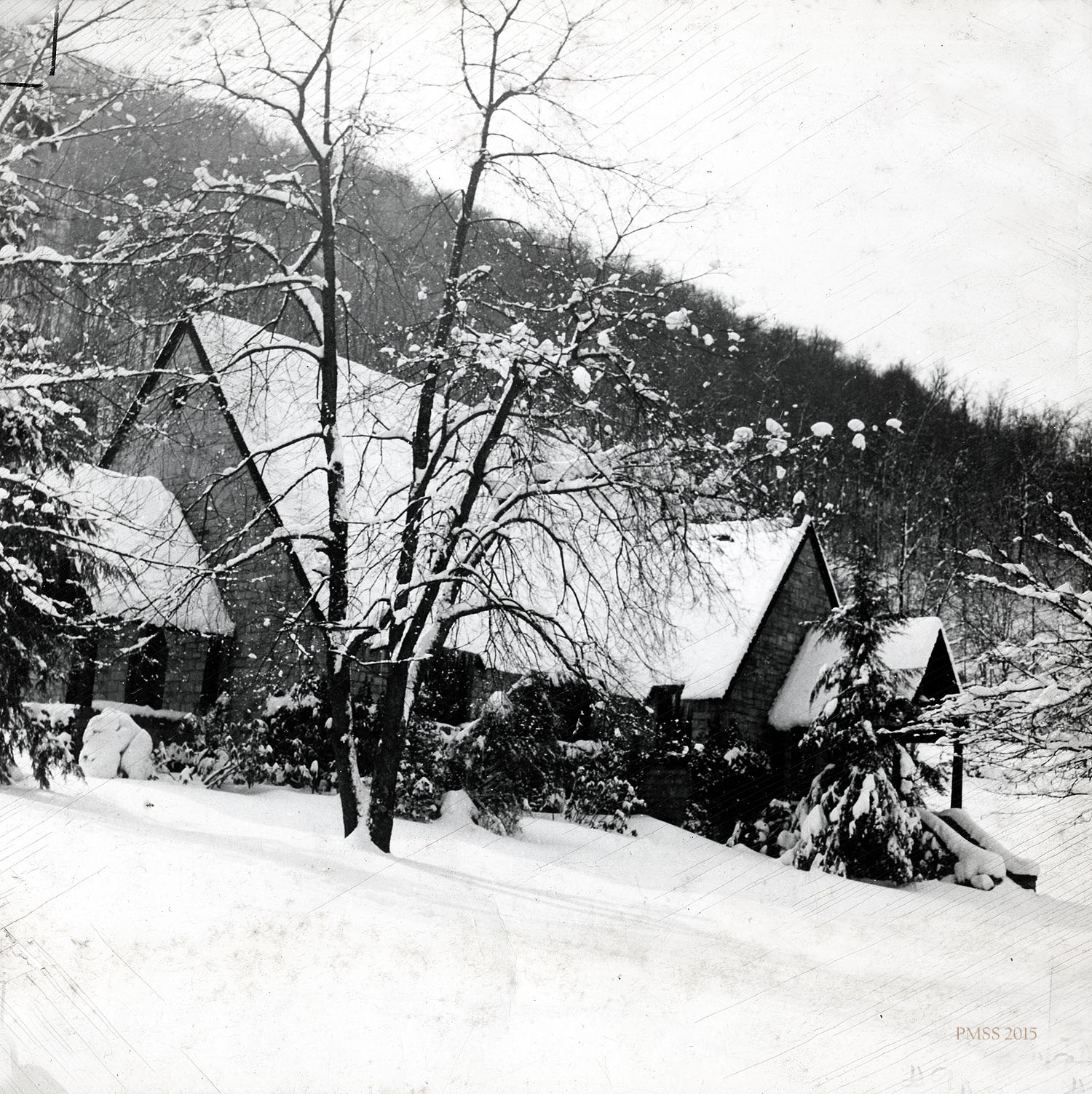 XIII ARTHUR W. DODD PHOTOGRAPH ALBUM 1943-1946 - Pine Mountain ...