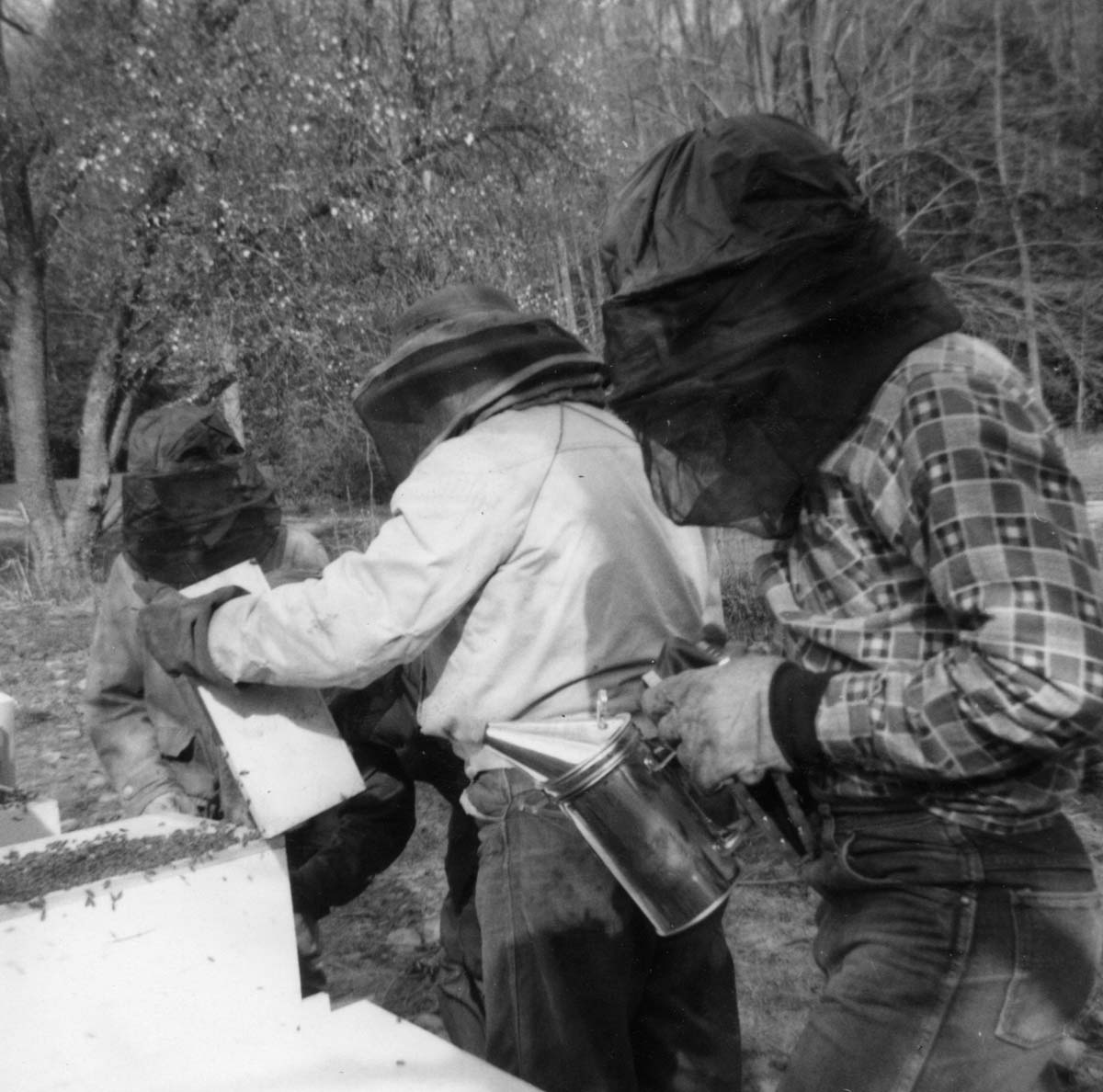 063 PHOTOGRAPHS VII LW General Maintenance, Farm, Grounds Part 2 - Pine ...