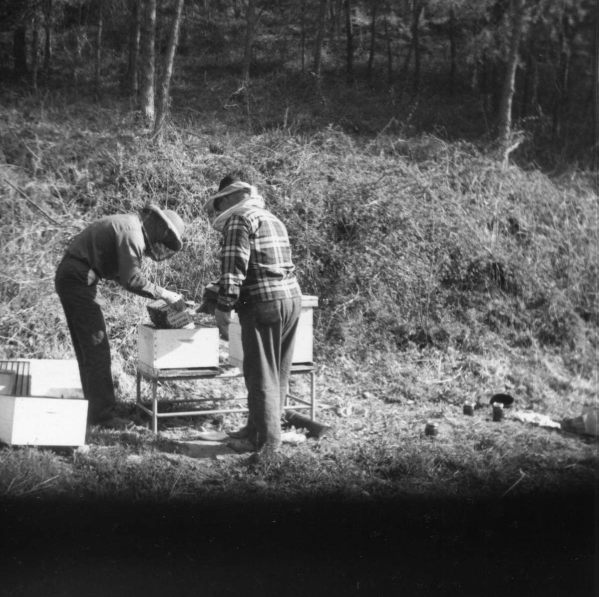 063 PHOTOGRAPHS VII LW General Maintenance, Farm, Grounds Part 2 - Pine ...