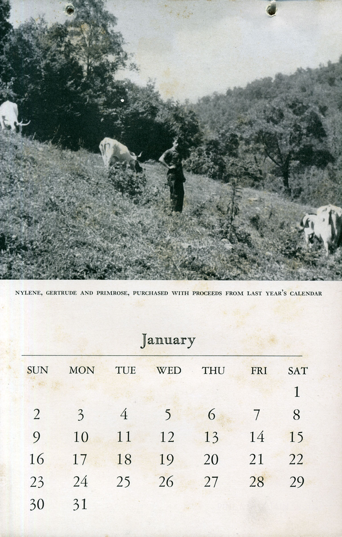 HISTORY PMSS Summary 1943-1944 - Pine Mountain Settlement School