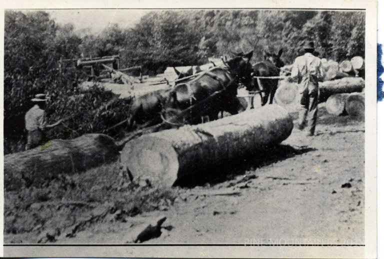 LAND USE 1911 Wm Creech Donor Land Swap Survey - PINE MOUNTAIN ...