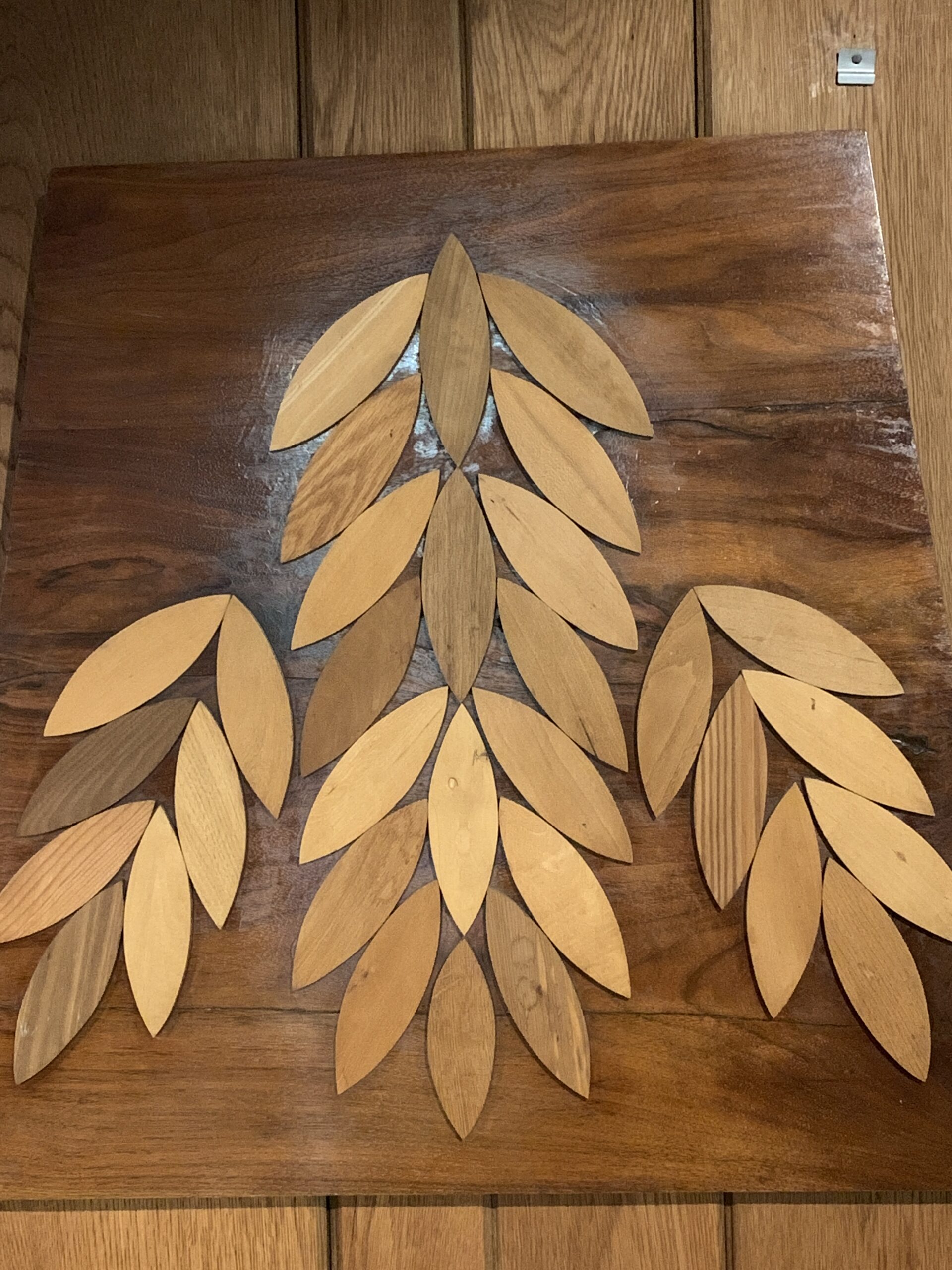 MATTHEW BOGGS Student Staff - Pine Mountain Settlement School