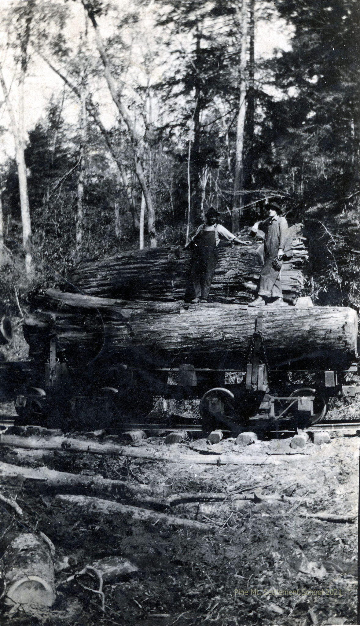 JAMES COLUMBUS AND EMILY HILL CREECH Photographs 400-499 - PINE ...